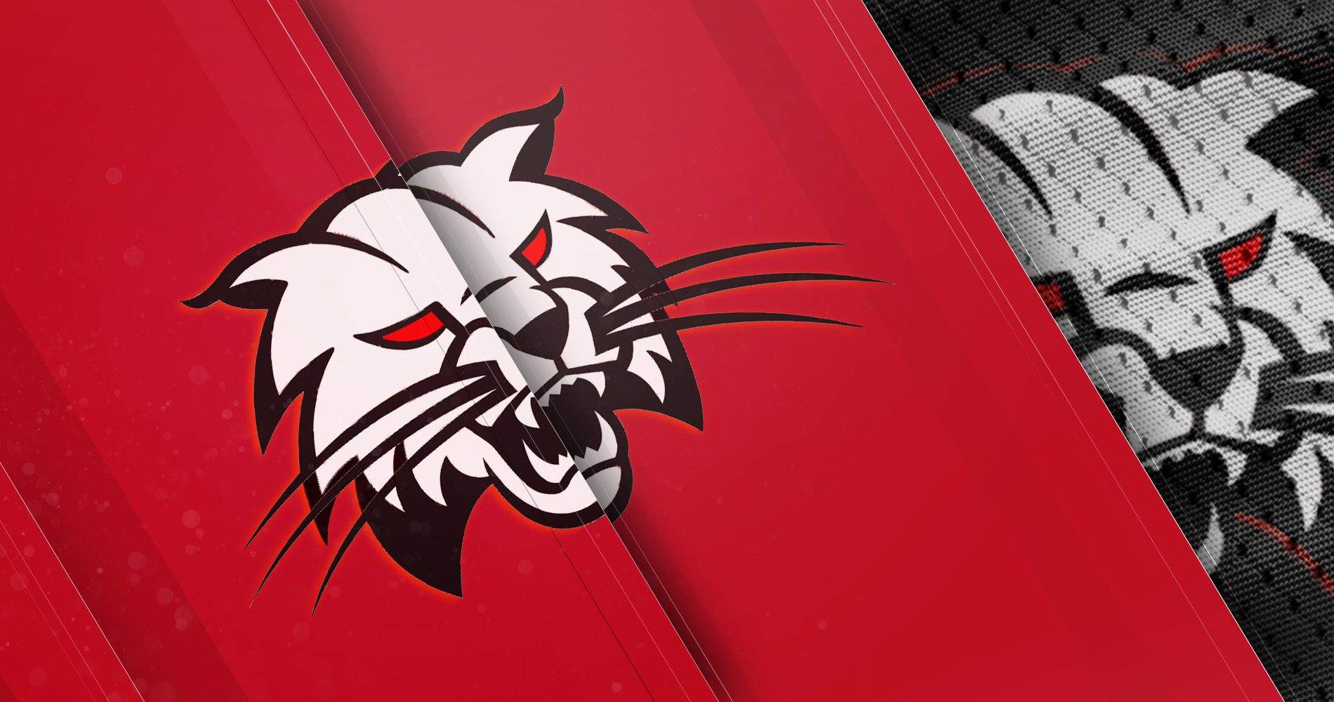 Oregon-Davis Bobcats