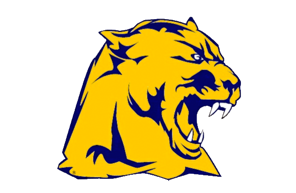 Whitmer Athletics